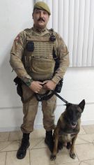 K9 Maxx: saiba como funciona o trabalho do cão policial na cidade de ...