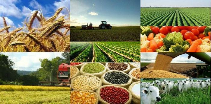 Estudo mostra potencial do agro brasileiro Estudo mostra potencial do agro brasileiro